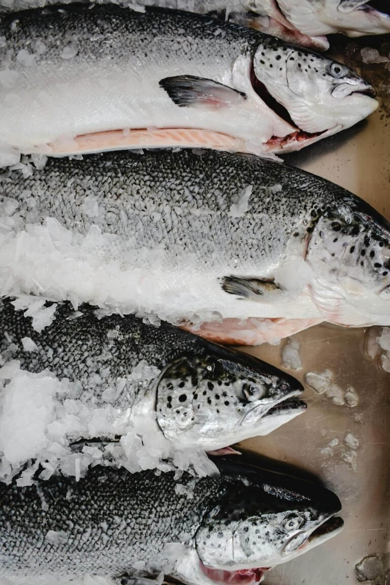 Livnik fish trade, vand peste viu, peste viu pentru populari, crap viu ...